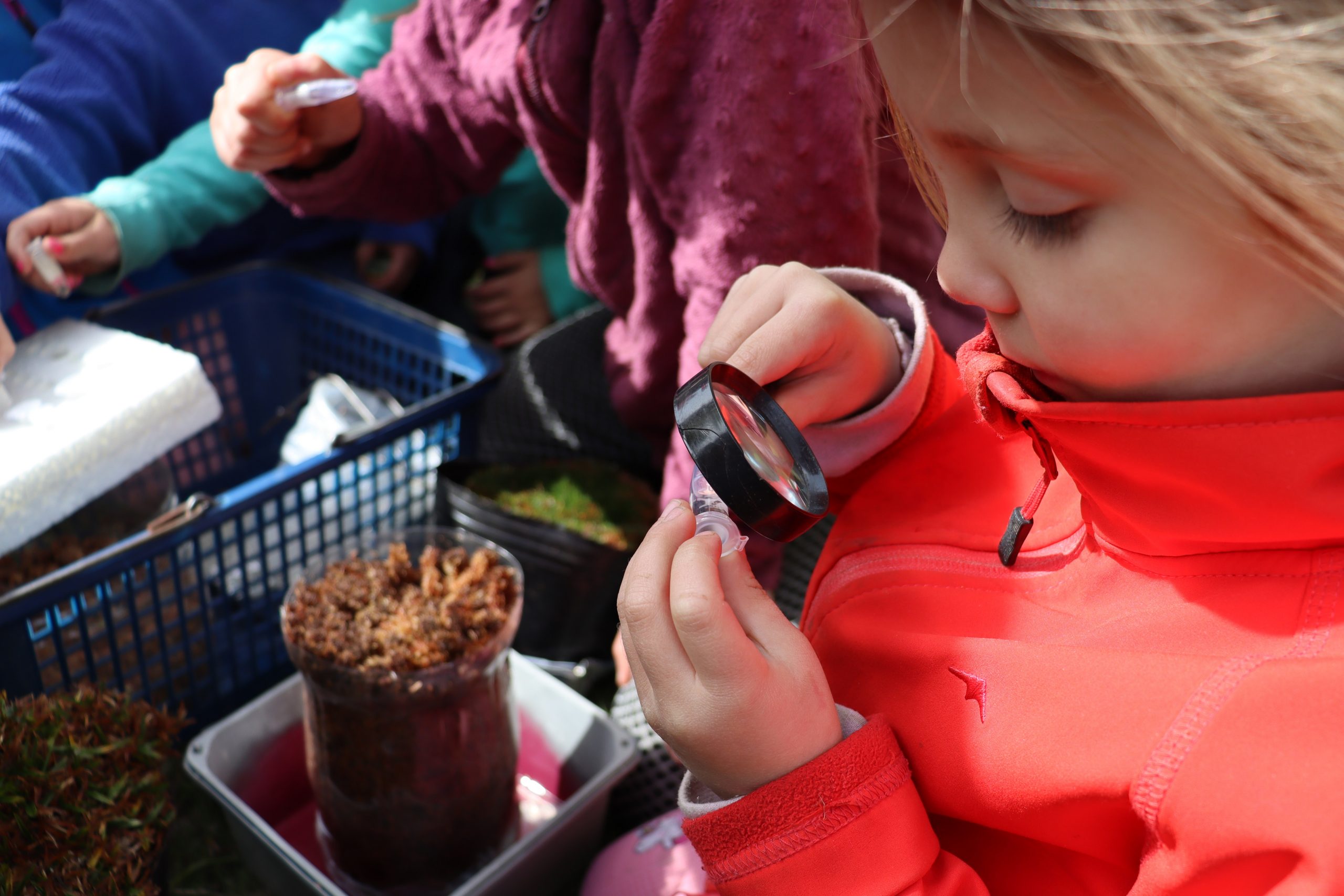 Otra Semana de la Ciencia y el CADIC se puso en movimiento | CADI